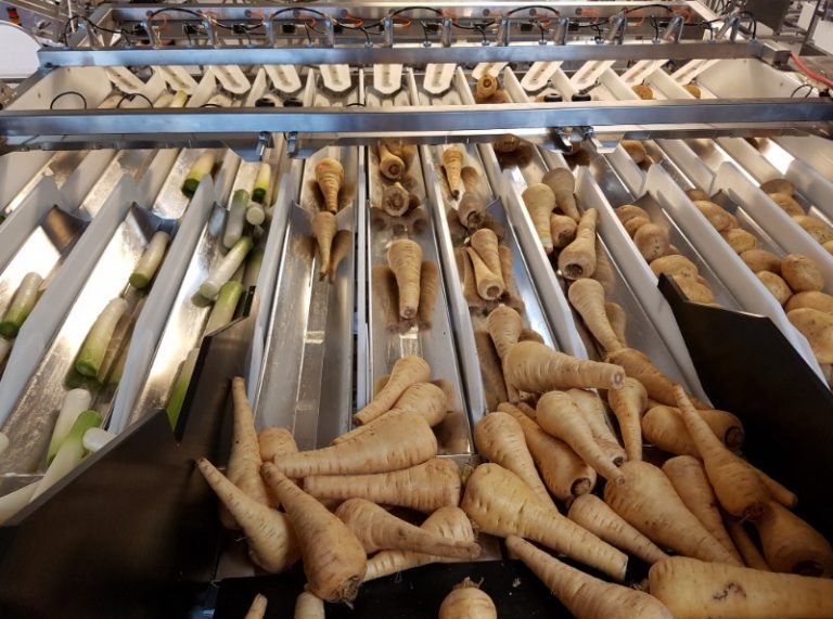 Reliable fruit and vegetable weighing machines for an optimised ...