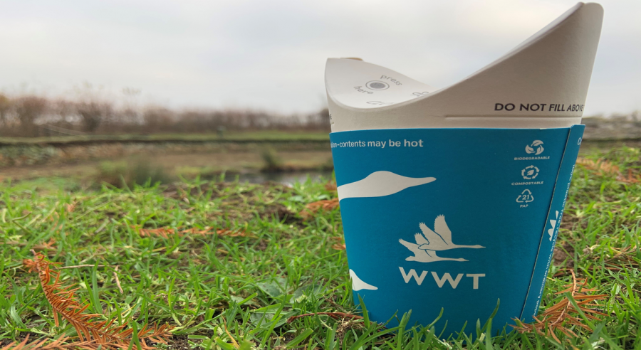 First 100% plastic-free lidless takeaway cup launches in UK