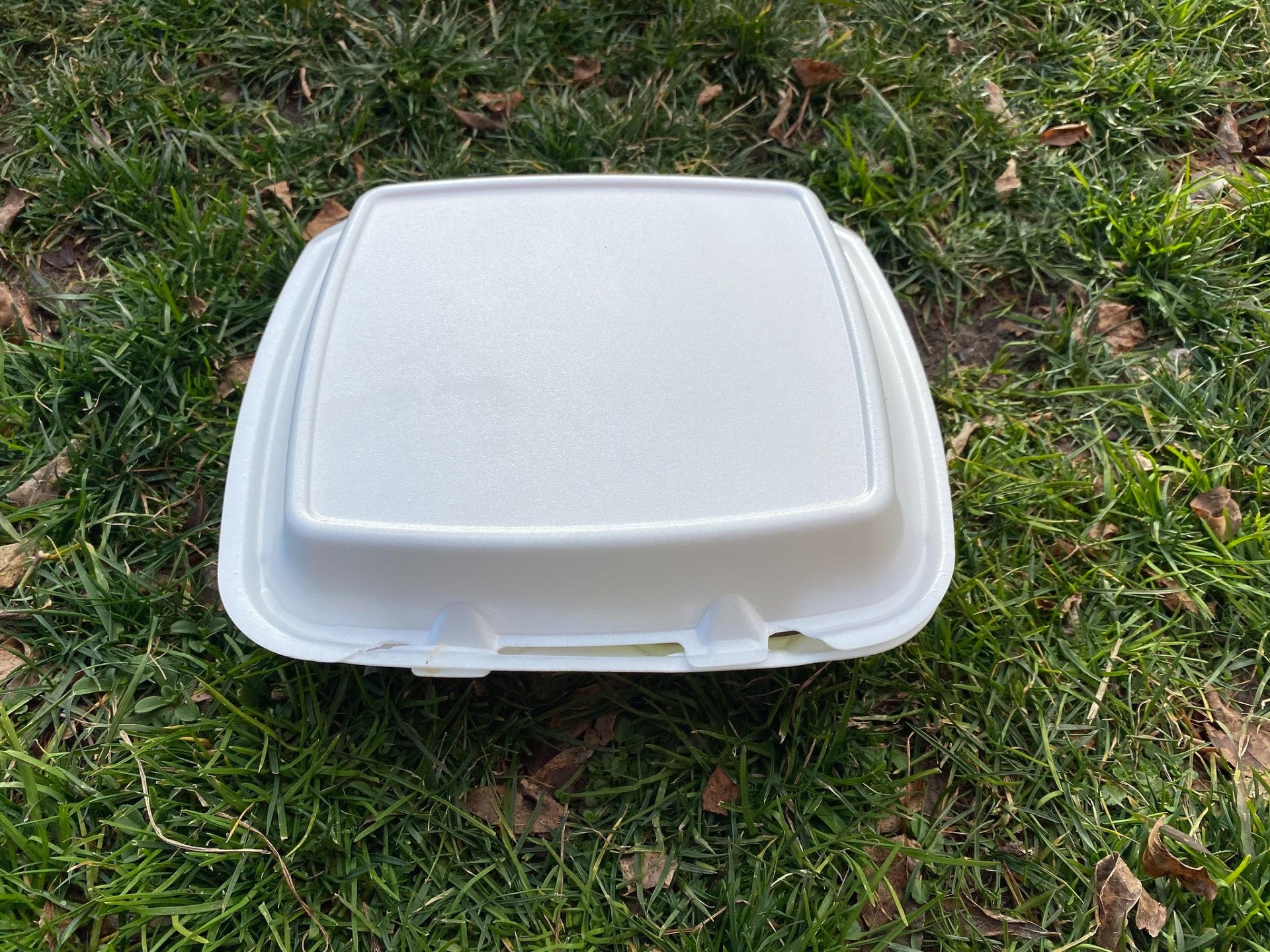 Washington to ban polystyrene foam takeaway containers
