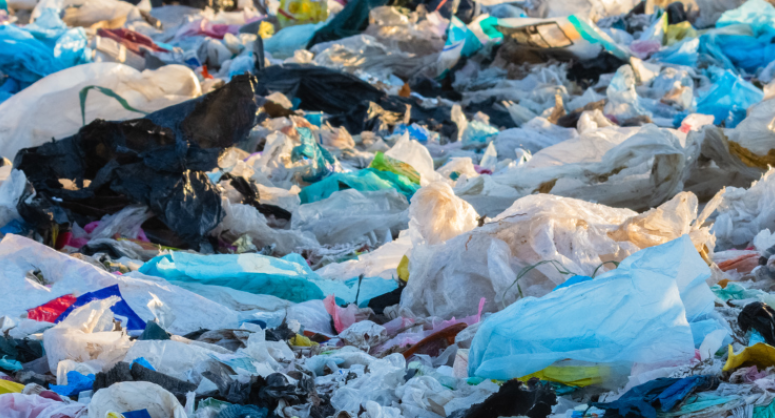 NLWA calls for immediate ban on unrecyclable plastics in UK